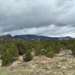 Buena Vista: Midland Tunnels E-Bike Tour - Detailed Review of the Midland Tunnels E-Bike Tour