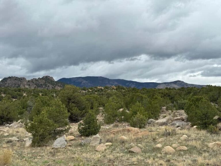 Buena Vista: Midland Tunnels E-Bike Tour - Detailed Review of the Midland Tunnels E-Bike Tour