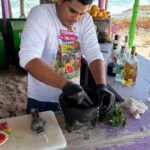 Buggy tour of the bars of Cozumel, Mexico - What Travelers Can Expect