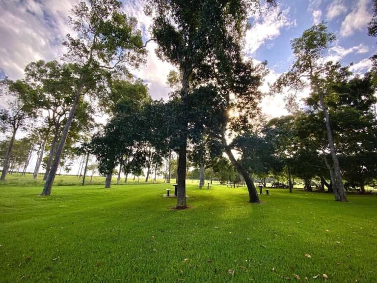 Bundaberg: Family-Friendly Entry Ticket to Splitters Farm - The Arrival and Check-in Process