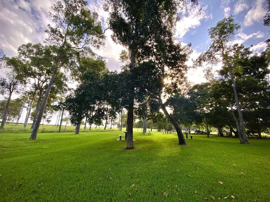 Bundaberg: Family-Friendly Entry Ticket to Splitters Farm - The Arrival and Check-in Process