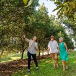 Bundaberg: Macadamia Orchard Tour - Final Thoughts: The Value of a Macadamia Day Out