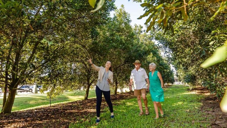Bundaberg: Macadamia Orchard Tour - Final Thoughts: The Value of a Macadamia Day Out