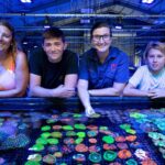 Bundaberg: Monsoon Aquatics Coral Farm Guided Tour - What the Experience Feels Like