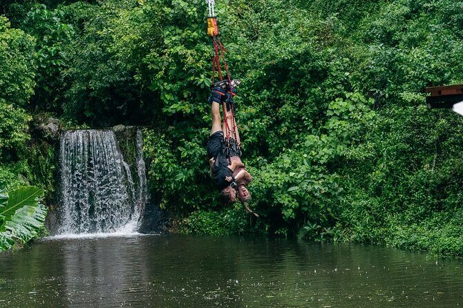 Bungy Jump Experience at Skypark Cairns by AJ Hackett - The Experience at Skypark Cairns by AJ Hackett