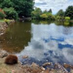 Burnie Attractions Bus - The Itinerary in Detail: What to Expect