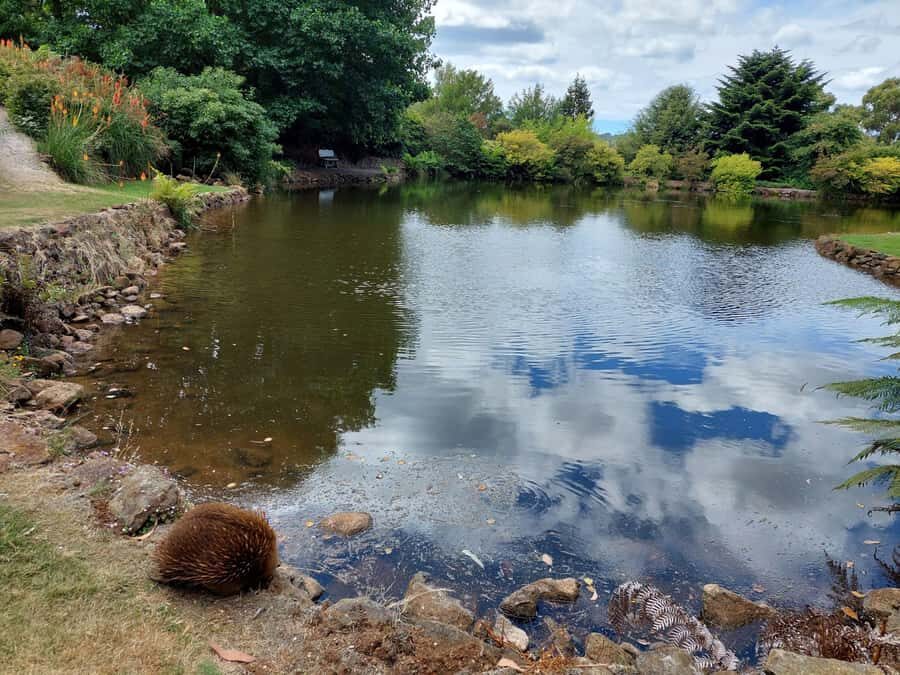 Burnie Attractions Bus - The Itinerary in Detail: What to Expect