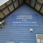 Busselton Jetty and Underwater Observatory - Authentic Insights from Reviewers