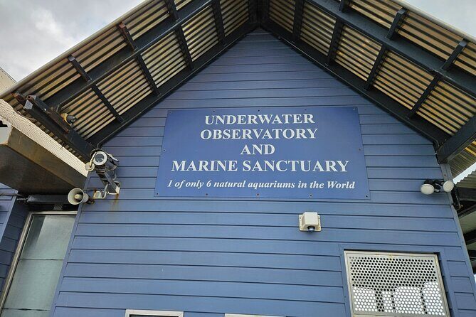 Busselton Jetty and Underwater Observatory - Authentic Insights from Reviewers