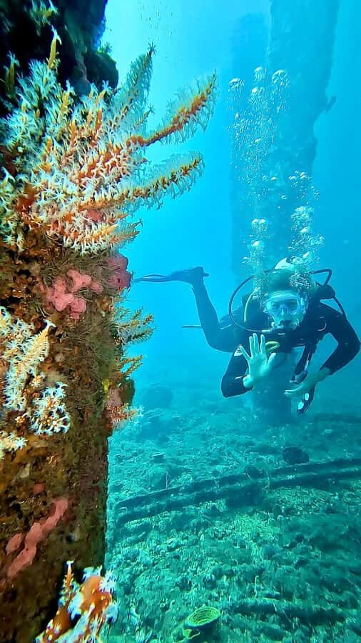 Busselton: Jetty Discover Scuba Diving Experience - Why Choose This Tour?