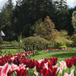 Butchart & Beyond: The Grand Victoria Tour - Who Should Consider This Tour?