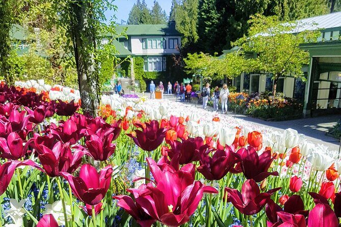 Butchart Gardens and City Highlights Private tour - The Main Event: Butchart Gardens
