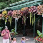 Butchart Gardens and City Private Tour - Transportation and Pacing