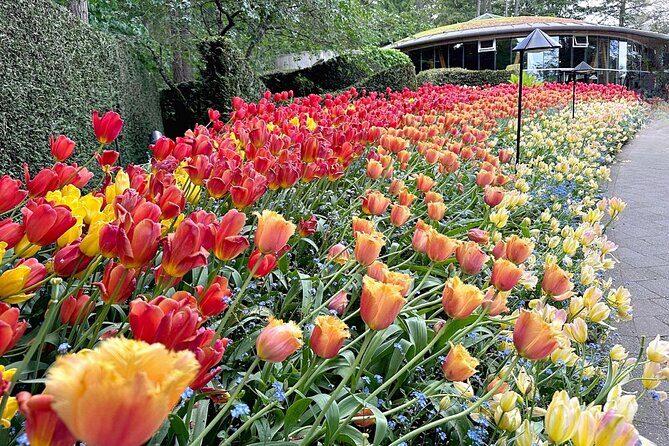 Butchart Gardens and Victoria City Private Tour 1-6 pax - Who Will Love This Tour?