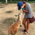 Byron Bay and Currumbin Wildlife Sanctuary Day Tour - Detailed Look at the Experience