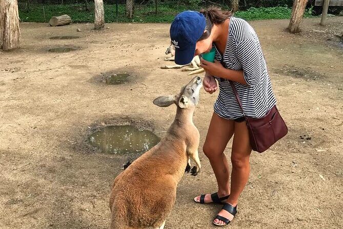 Byron Bay and Currumbin Wildlife Sanctuary Day Tour - Detailed Look at the Experience