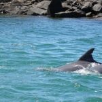 Byron Bay: Brunswick River Eco-Cruise with Brunch - Detailed Breakdown of the Itinerary