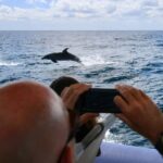 Byron Bay: Cruise with Dolphins Tour - The Value of this Tour