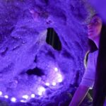 Byron Bay: Crystal Castle & Shambhala Gardens Entry Ticket - What Makes the Experience Stand Out?