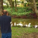 Byron Bay Platypus Walk - The Value for Money