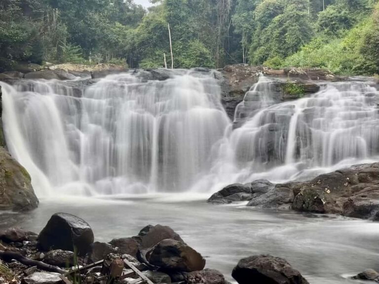 Byron Bay: Rainforest Waterfalls Guided Eco Tour - What Makes This Tour Stand Out?