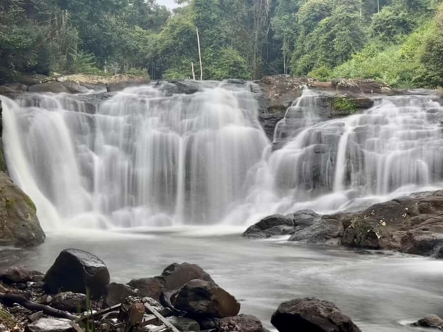 Byron Bay: Rainforest Waterfalls Guided Eco Tour - What Makes This Tour Stand Out?