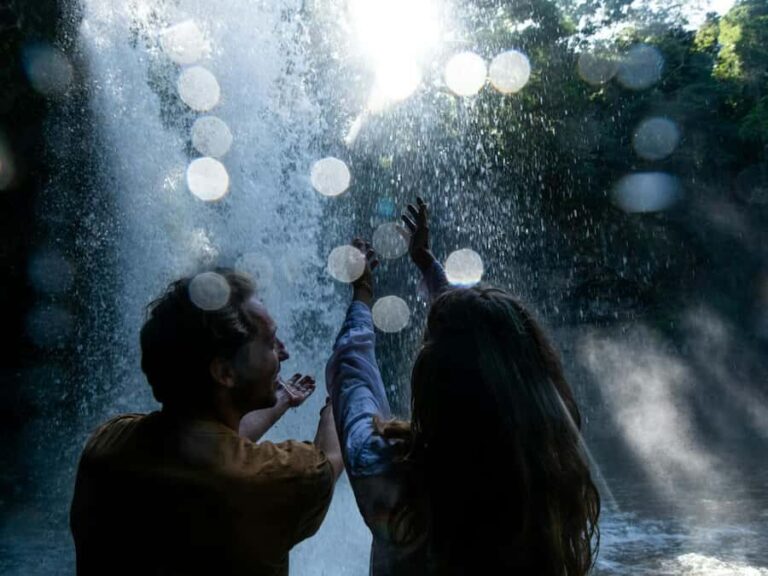 Byron Bay: Wildlife and Waterfall Tour with Breakfast - What Makes This Tour Stand Out?