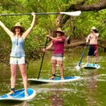 Byron Stand Up Paddle Nature Tour - The Experience in Detail