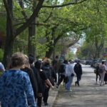 Cabbagetown In Colour: A Walking Tour of Toronto - Why This Tour is a Big Deal