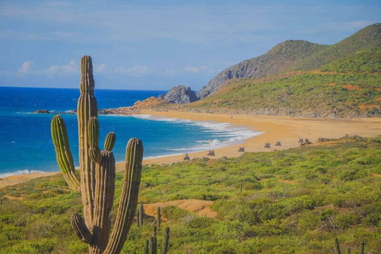 Cabo: Beach & Desert Single ATV Tour with Tequila Tasting - What You Get for Your Money