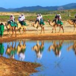 Cabo Camel and Safari Ride - The Value of Small-Group Adventure