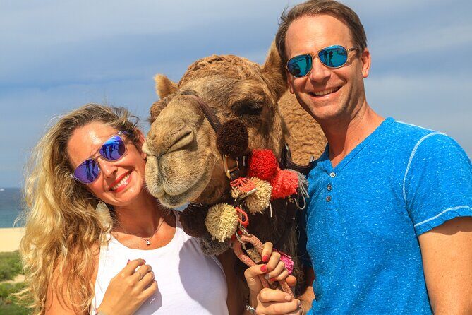 Cabo Camel Ride Experience - Final Thoughts: Is It Worth It?