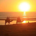 Cabo: Camel Ride On The Beach - Transportation and Convenience