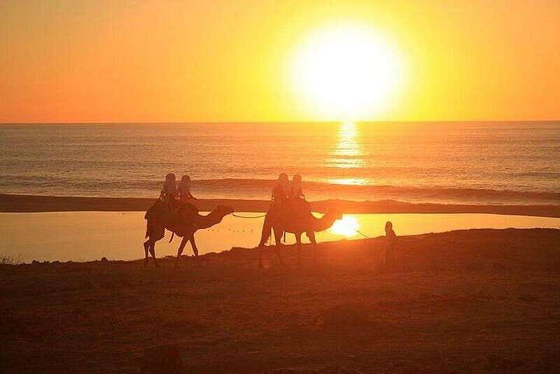 Cabo: Camel Ride On The Beach - Transportation and Convenience