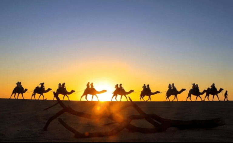 Cabo: Camel Safari Adventure with Tacos - Authentic Experiences & Real Feedback