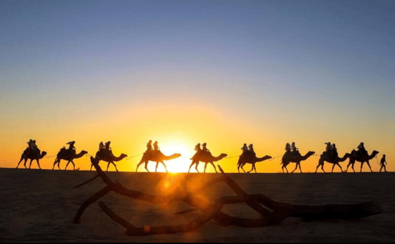 Cabo: Camel Safari Adventure with Tacos - Authentic Experiences & Real Feedback