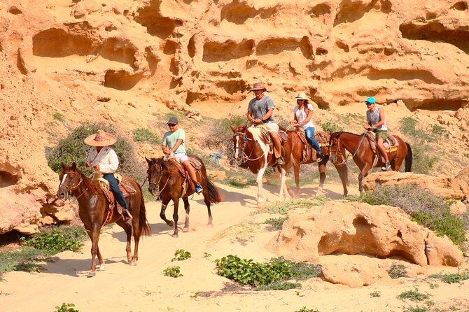 Cabo Desert ATV & Beach Horseback Combo enjoy adventure and beauty! - Authentic Experiences from Reviewers