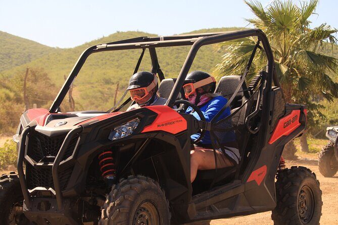 Cabo Migrino Beach & Desert UTV Tour and Tequila Tasting - Real-World Insights from Reviewers