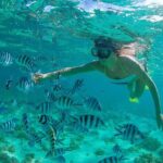 Cabo Pulmo National Park Snorkel Expedition from Cabo San Lucas - Is This Tour Worth It?