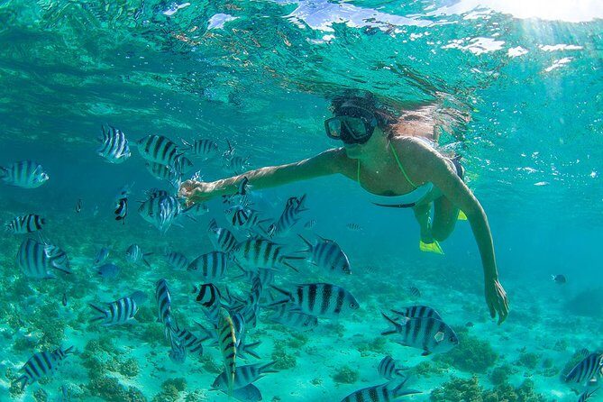 Cabo Pulmo National Park Snorkel Expedition from Cabo San Lucas - Is This Tour Worth It?