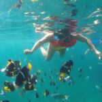 Cabo Pulmo Snorkel Adventure - The Experience: Pros and Cons