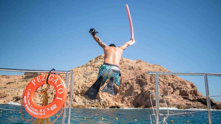 Cabo San Lucas: 4-Hour Snorkeling Cruise with Open Bar - The Highlights in Detail
