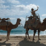 Cabo San Lucas: Amazing Camel Adventure on the Beach - Who Will Love This Tour?