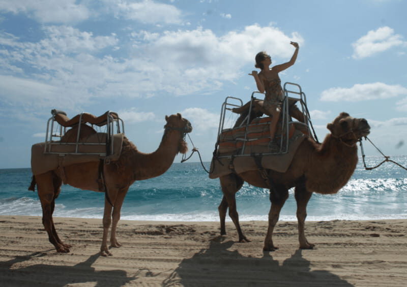 Cabo San Lucas: Amazing Camel Adventure on the Beach - Who Will Love This Tour?