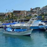 Cabo San Lucas: Arch Tour Glass Bottom Boat - Why This Tour Is a Good Fit