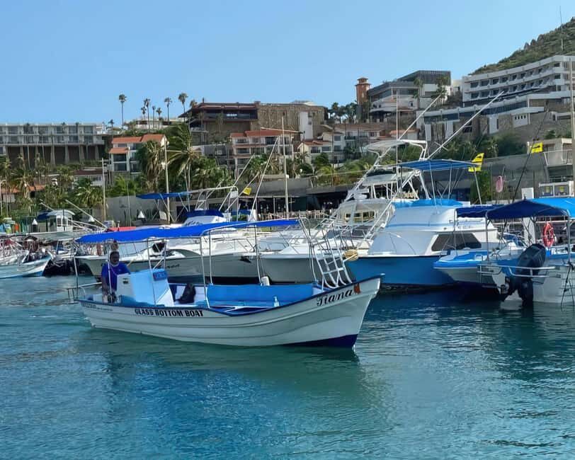 Cabo San Lucas: Arch Tour Glass Bottom Boat - Why This Tour Is a Good Fit