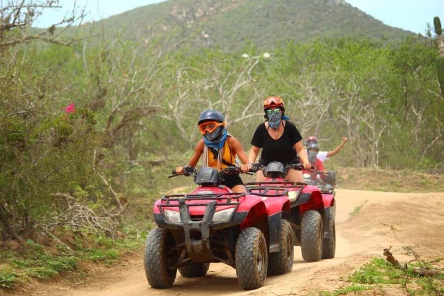 Cabo San Lucas: ATV Beach & Desert Tour with Tequila Tasting - Authenticity & Experience