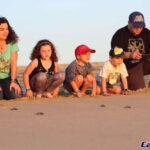 Cabo San Lucas: Baby Turtle Release Experience - What’s Included & What to Expect
