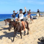 Cabo San Lucas: Beach & Desert Horseback Riding Tour - Ending with a Taste of Baja