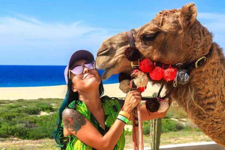 Cabo San Lucas: Camel Ride on the Beach - The Scenic Camel Ride